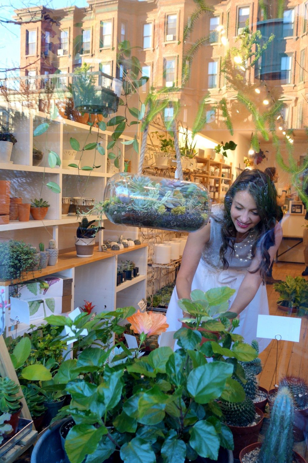 Where to Buy Succulents, Air Plants, and Other Indoor Greenery in ...