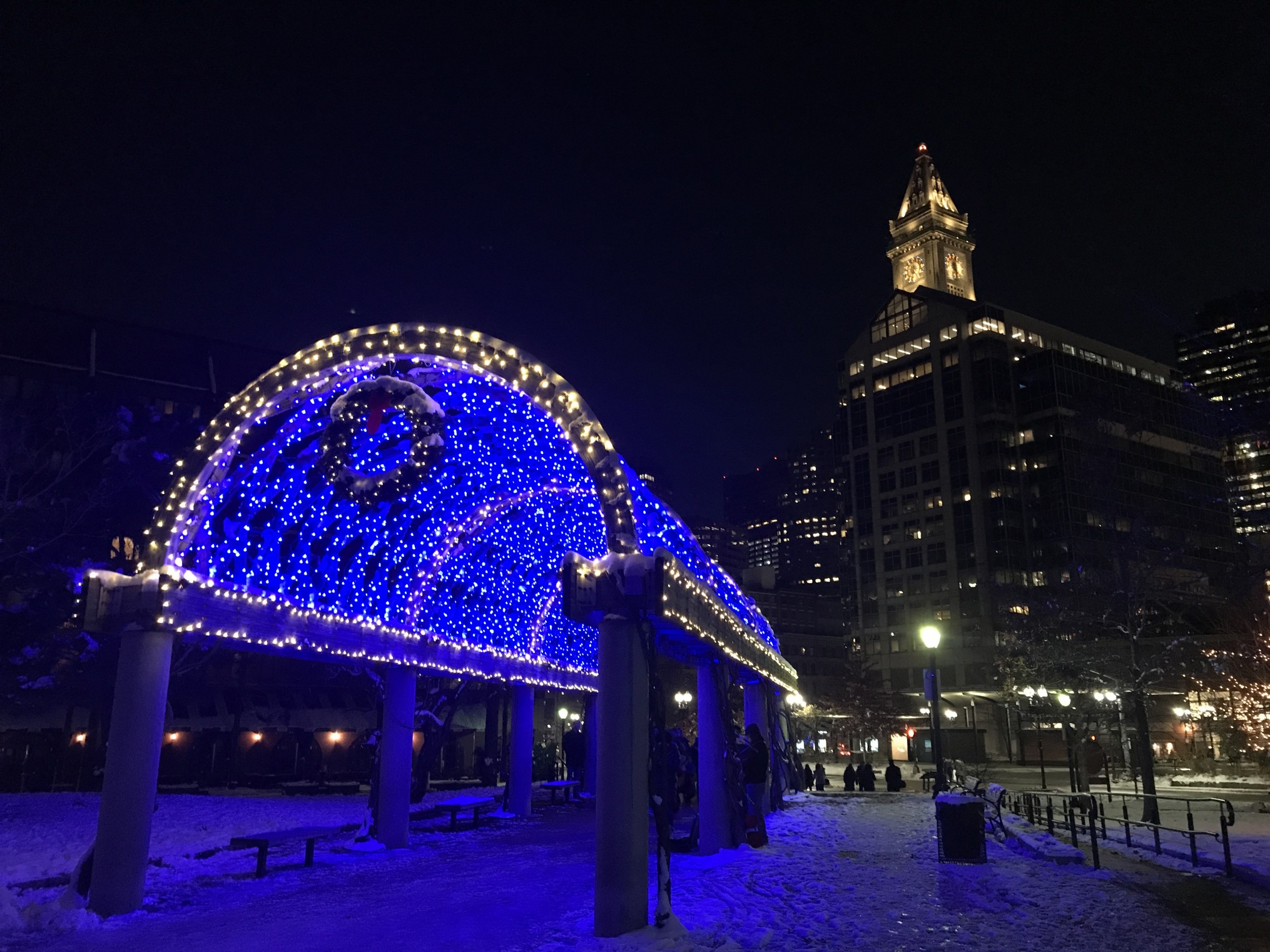 Where to See Holiday Lights in Boston - The A-Lyst