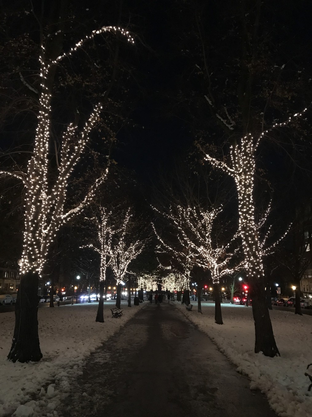 Where to See Holiday Lights in Boston - The A-Lyst