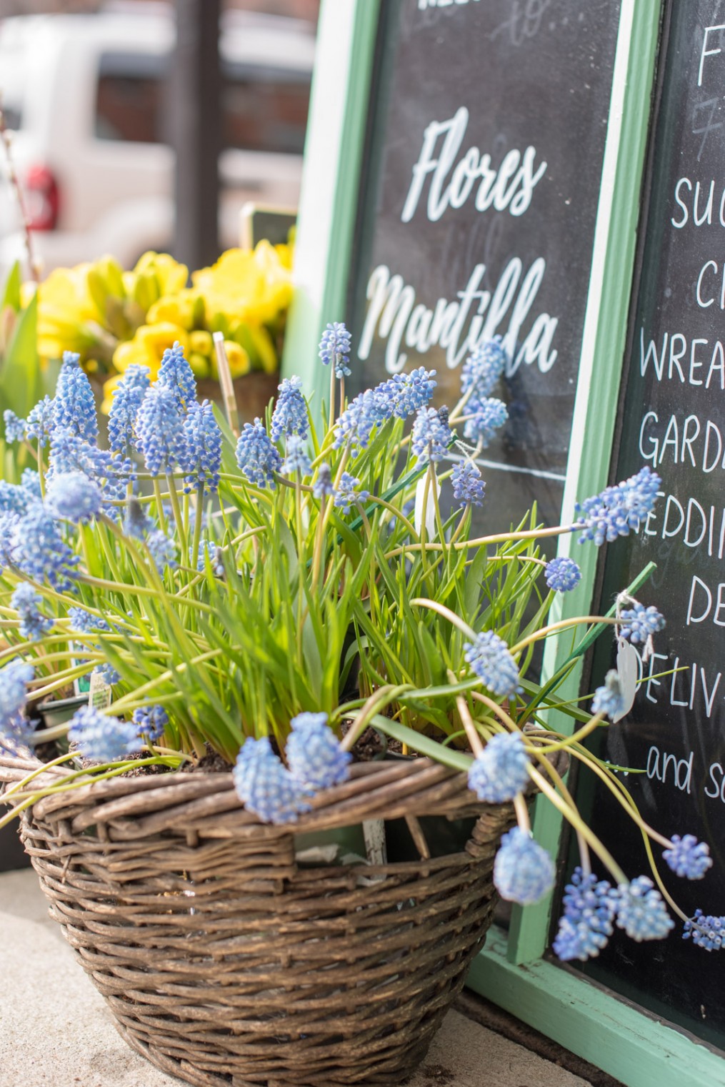 5 Must-Have Spring Jackets - The A-Lyst