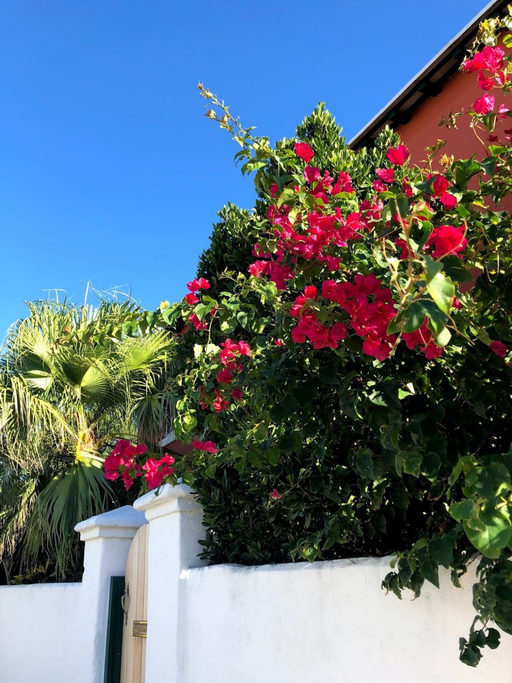 Travel Spotlight: Visiting Bermuda - The A-Lyst