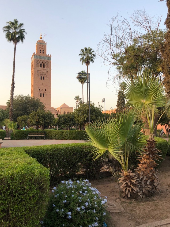 Top 5 Things to do in Marrakech - The A-Lyst