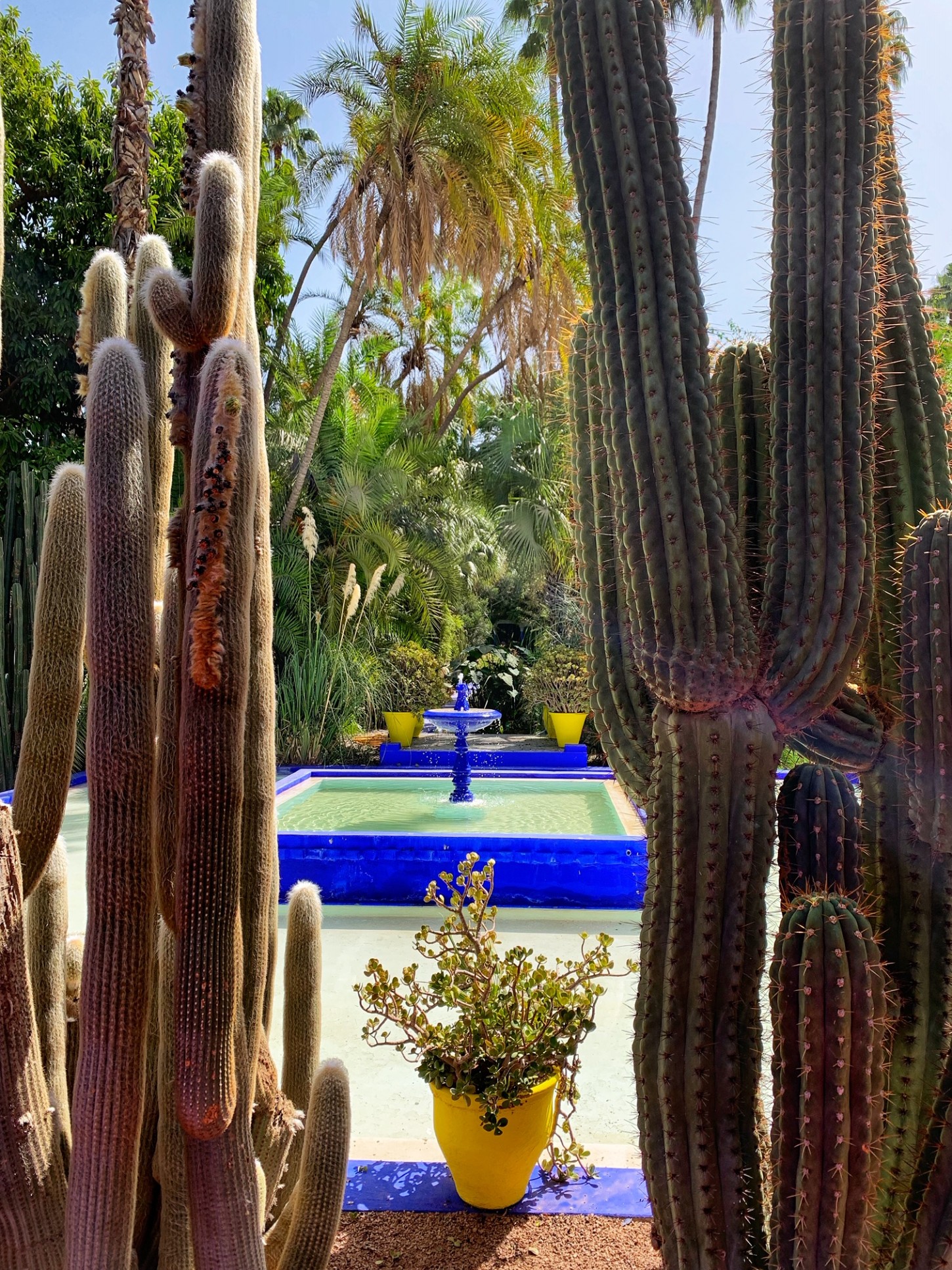 Top 5 Things to do in Marrakech - The A-Lyst