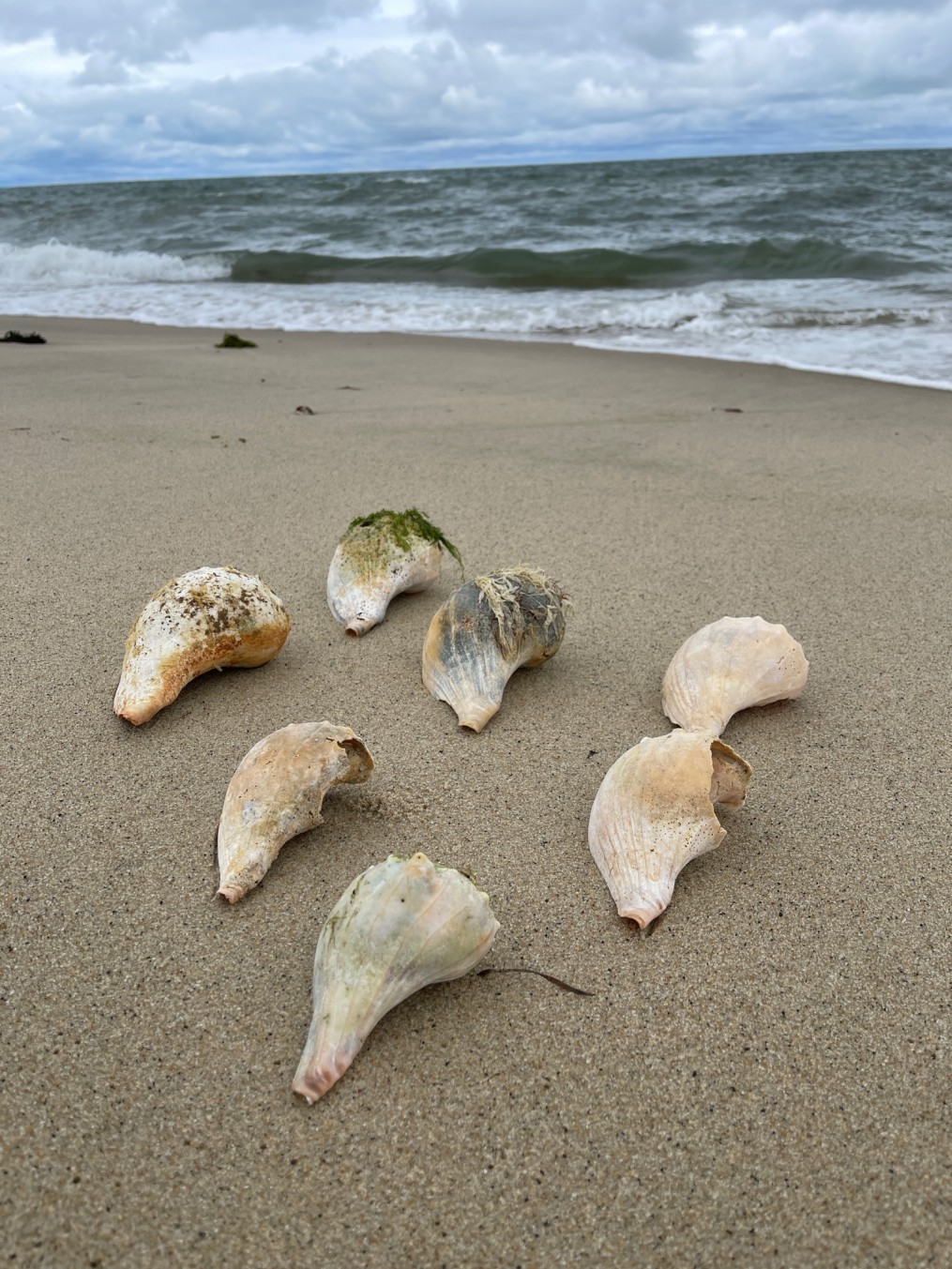 What to Do, See, and Eat on Nantucket - The A-Lyst