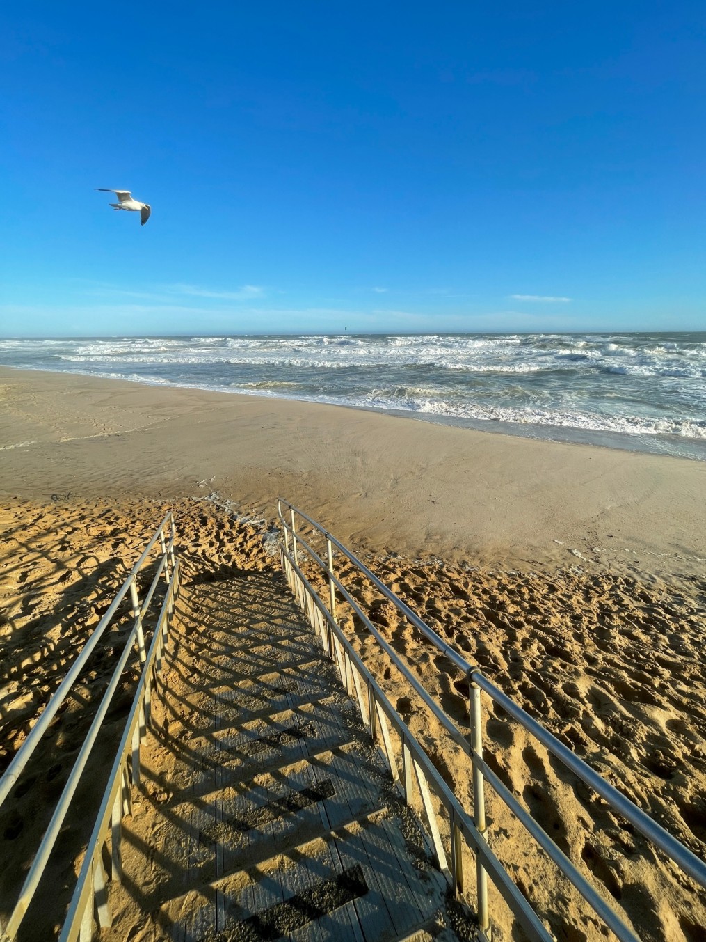 What to Do, See, and Eat on Nantucket - The A-Lyst